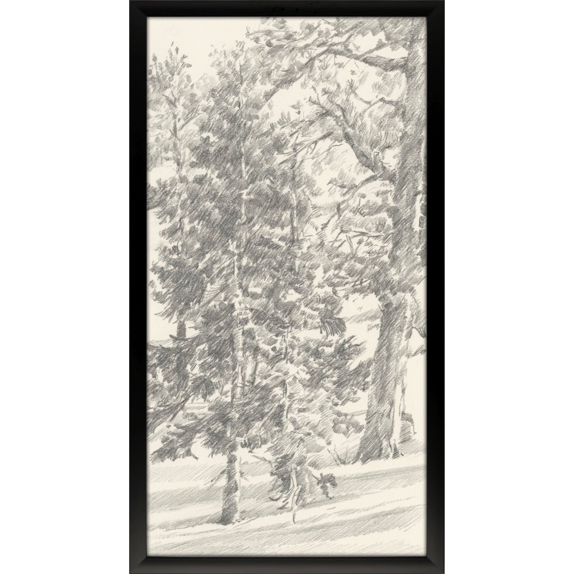 Tree Study II - Contemporary - Prints And Posters - by Paragon Decor | Houzz