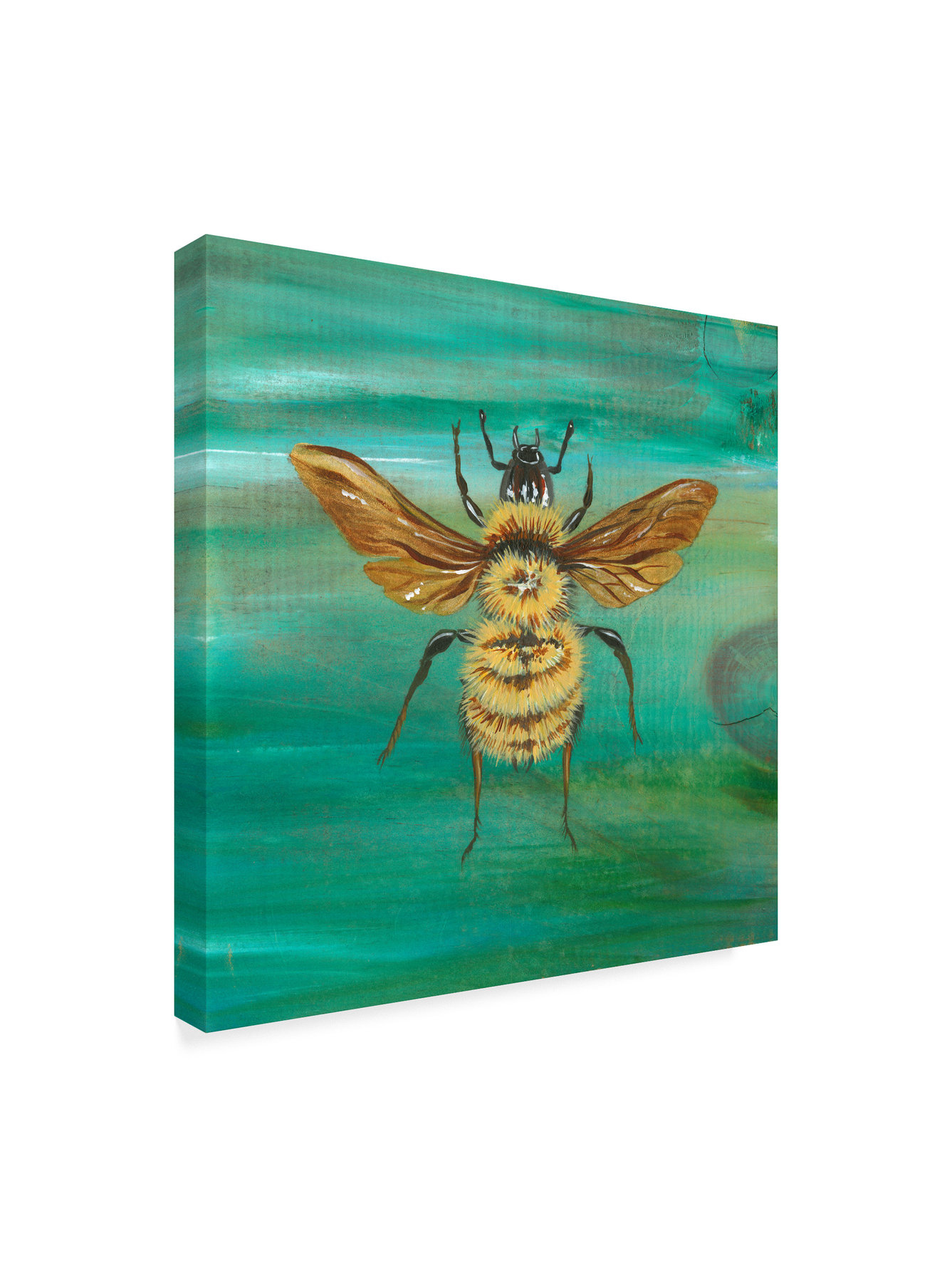 Gigi Begin 'Yellow Bumble Bee' Canvas Art, 18"x18" - Farmhouse - Prints ...