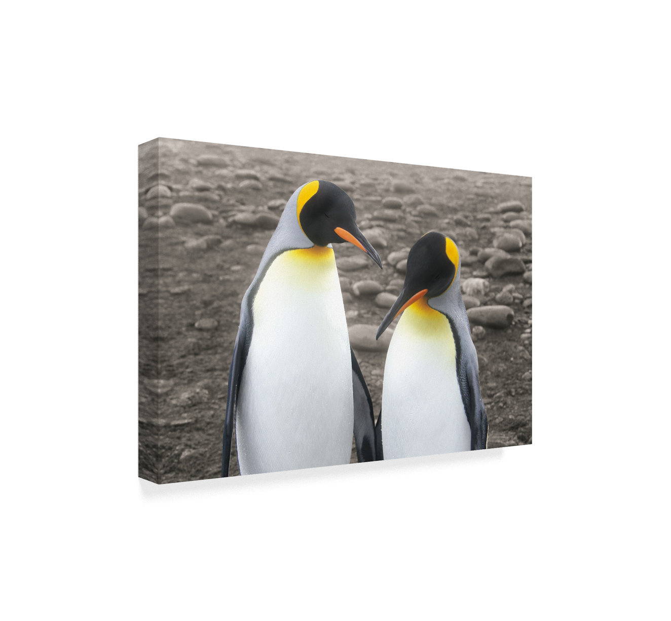 Wild Apple Portfolio 'Courting' Canvas Art, 16"x24" - Beach Style ...