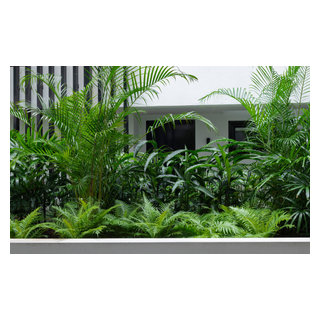 Atrium Garden - Contemporary - Landscape - Sydney - by Joanne Green ...
