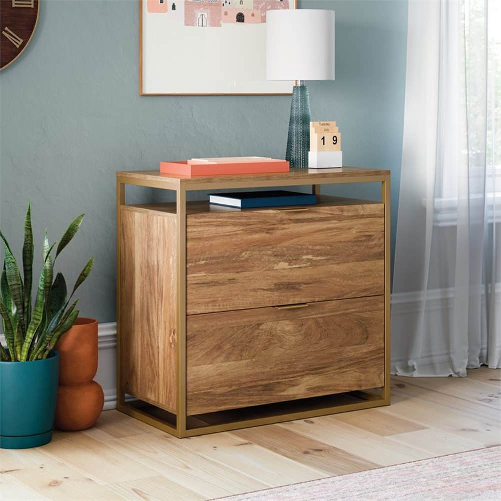 Pemberly Row Engineered Wood File Cabinet in Sindoori Mango/Brown ...