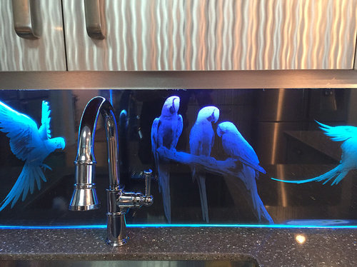 'Parrots' Custom Glass LED Kitchen Backsplash