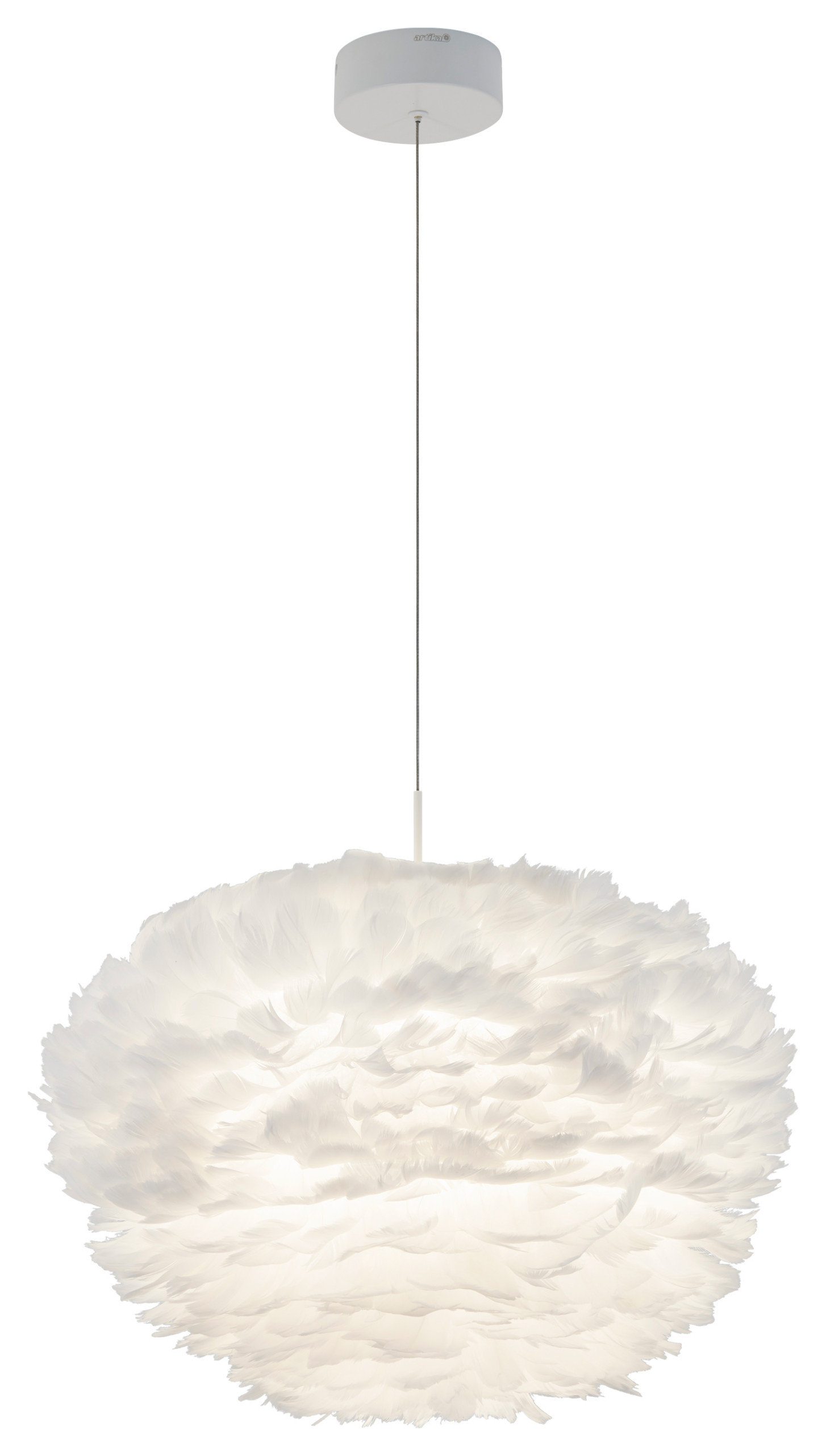 Artika Plume Modern Feathers Pendant Light Fixture - Contemporary ...