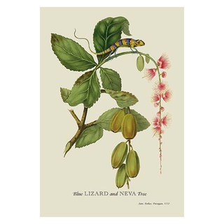 Blue Lizard and Neva Tree, 12" x 18" - Traditional - Prints And Posters ...