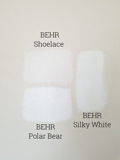 Has anyone used Behr Silent White?
