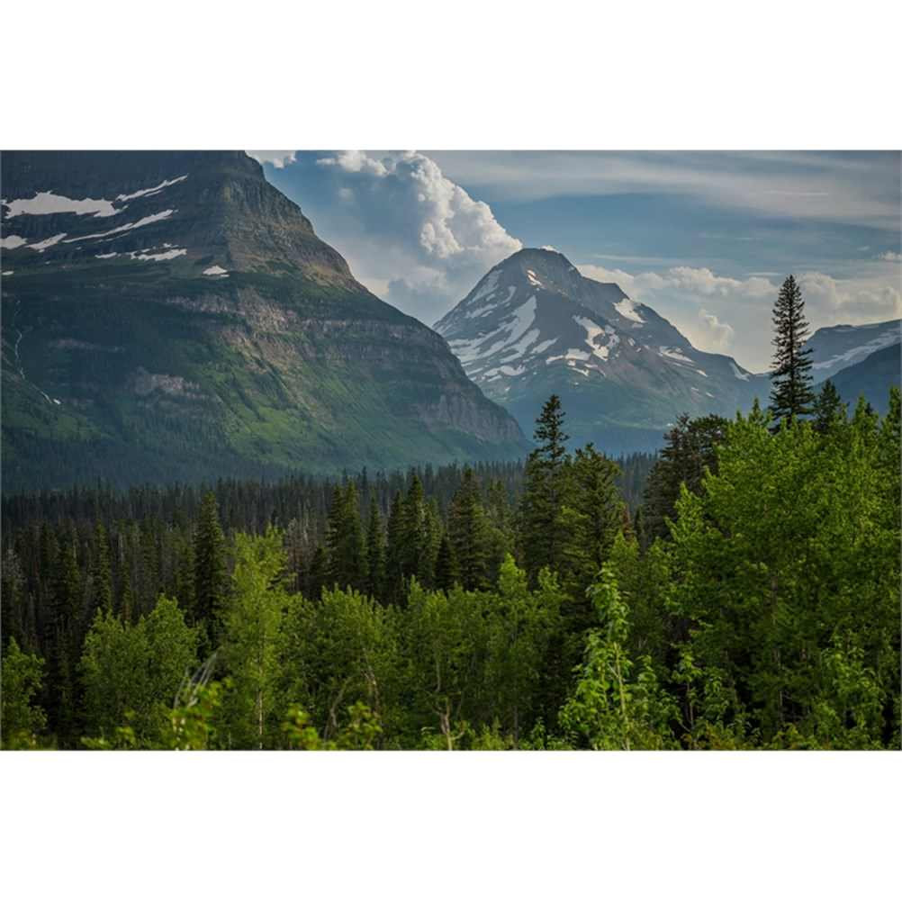 Giant Art 72x48 Double Vision Fine Art Giant Canvas Print in Pink ...