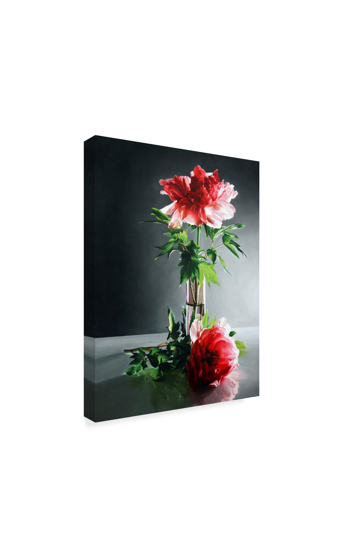 Cecile Baird 'Fragile Beauty Glass Vase' Canvas Art, 24"x32", 24"x32 ...