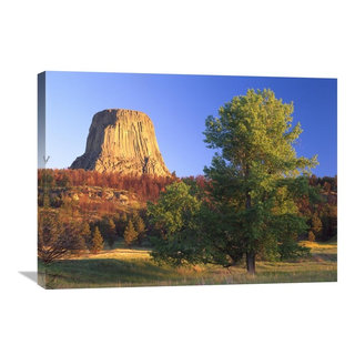 "Devil's Tower National Monument Showing Famous Basalt Tower, Wyoming ...