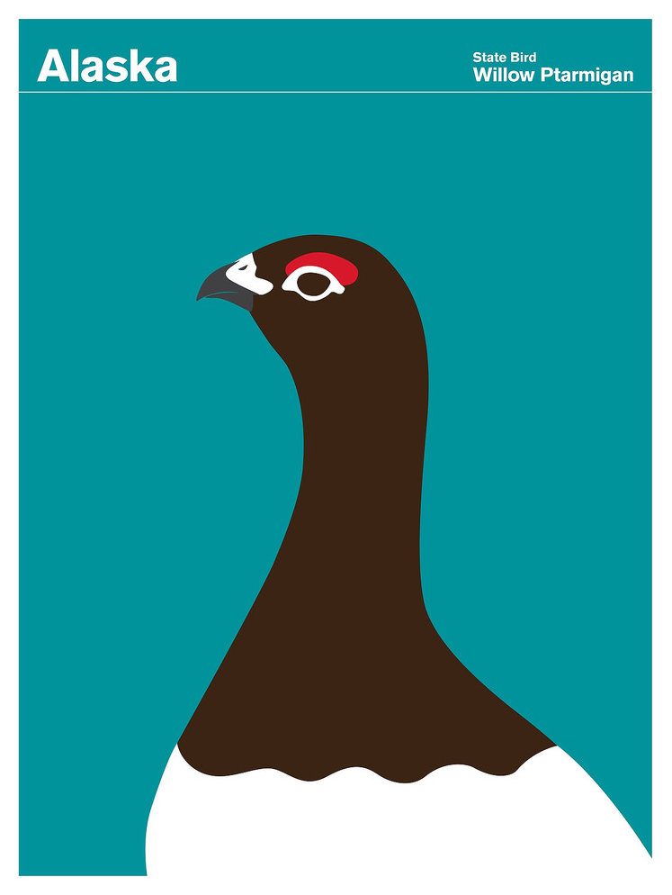 Alaska Willow Ptarmigan Print, 16" x 24" - Contemporary - Prints And ...