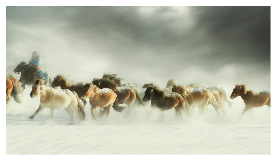 "Horses Gallop" Digital Paper Print by Shu-Guang Yang, 24x14", 24"x14.3 ...