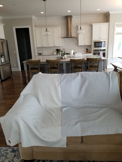 Sofa color help Pebble or Ash