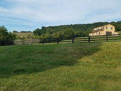Planting a 100' treeline privacy fence