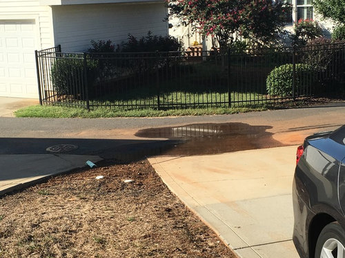 Water pounding at bottom of yard at road