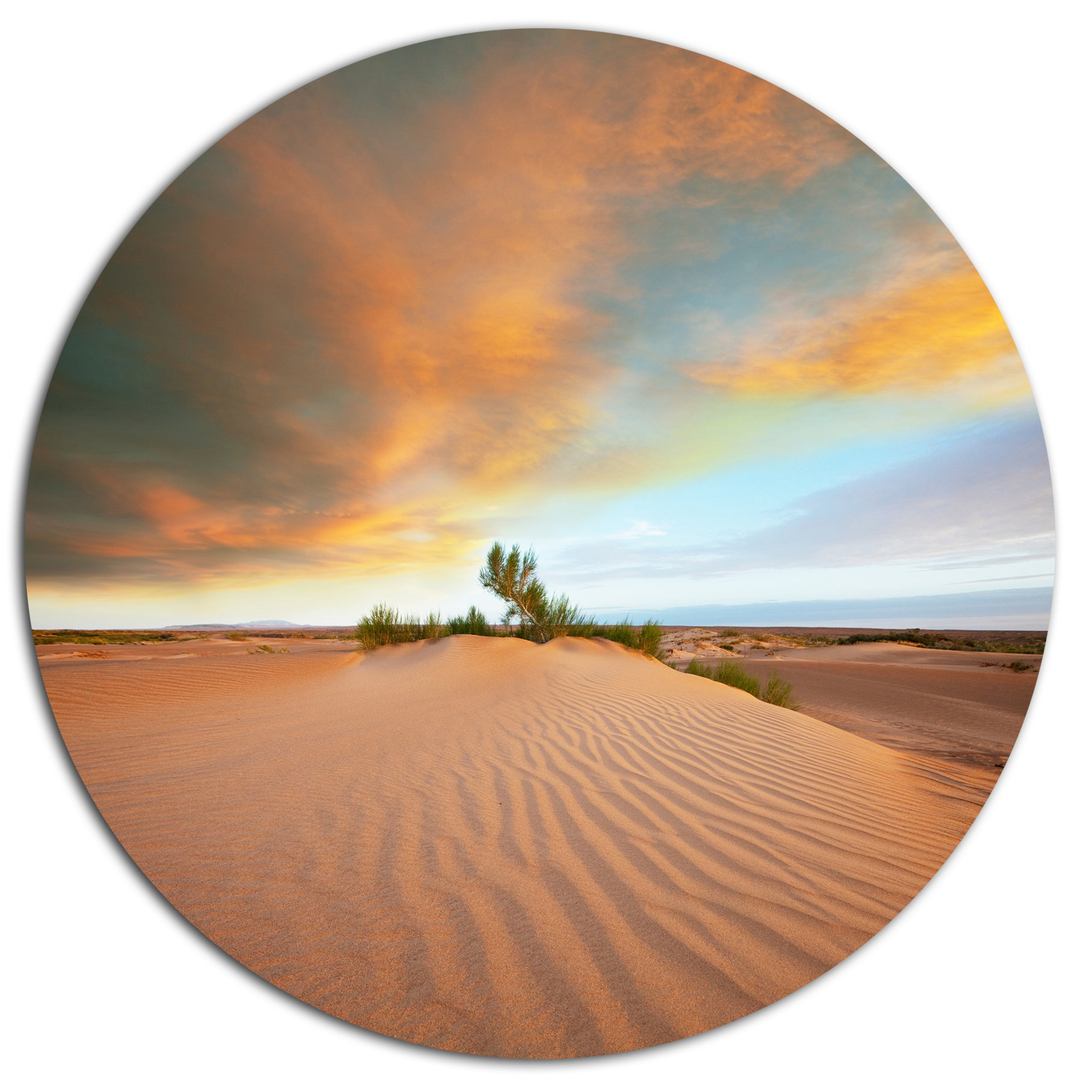 Green Plants In Wide Desert, African Landscape Disc Metal Wall Art ...