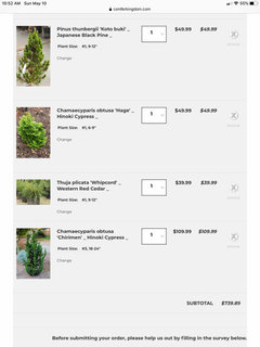 Planning a bed featuring conifers.