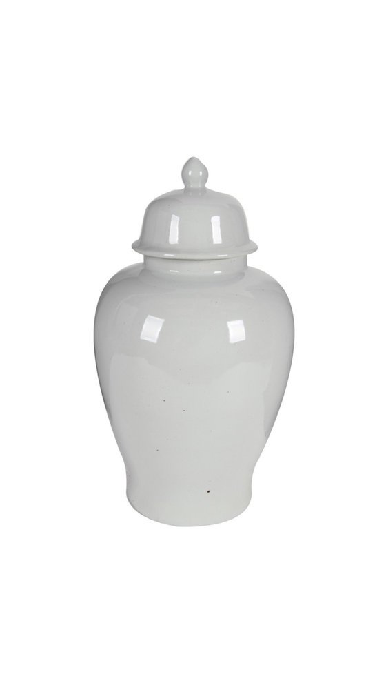 Ceramic Ginger Jar With Lid, Off White - Transitional - Decorative Jars ...