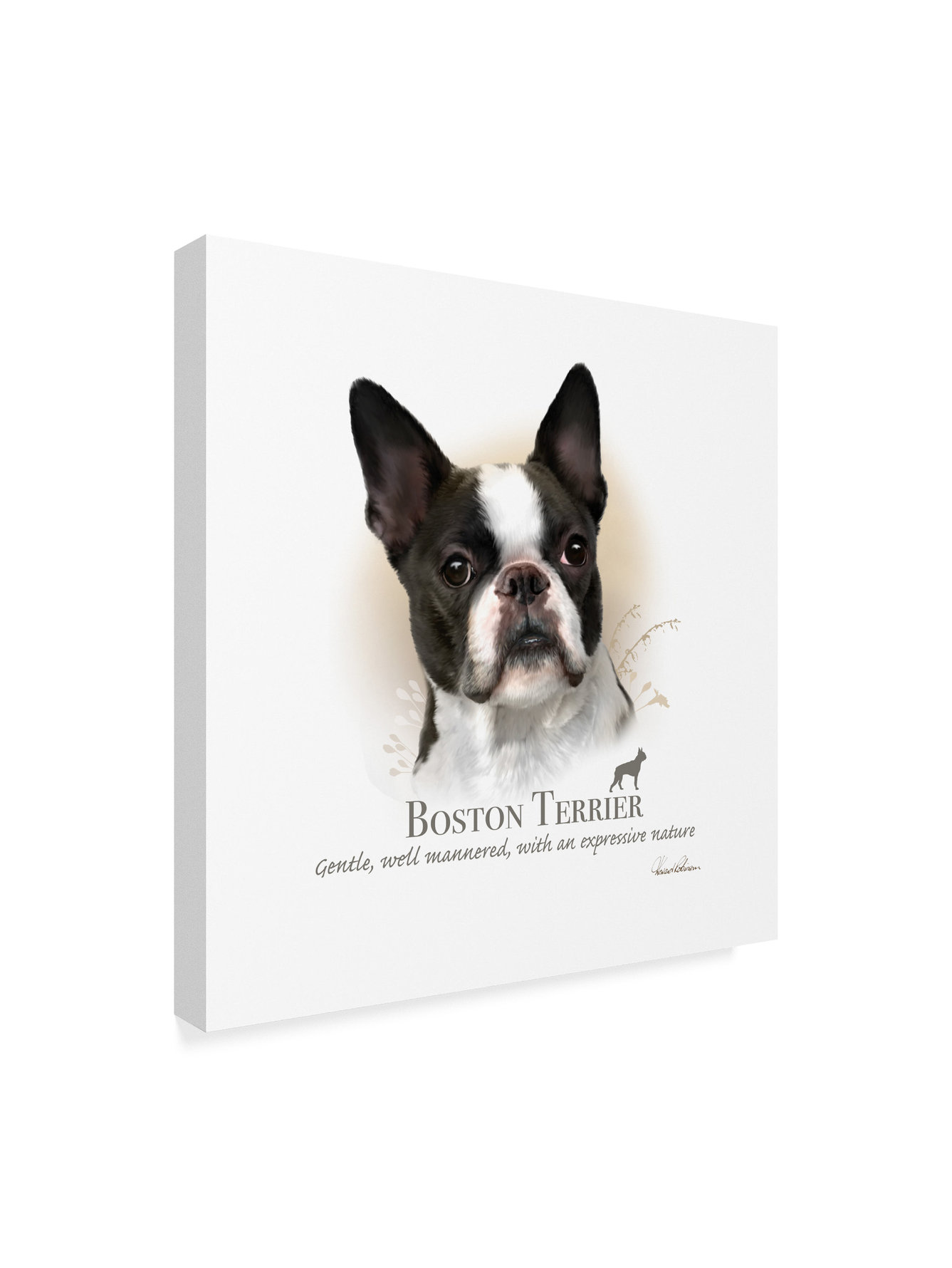 "Boston Terrier" by Howard Robinson, Canvas Art, 35"x35" - Contemporary ...