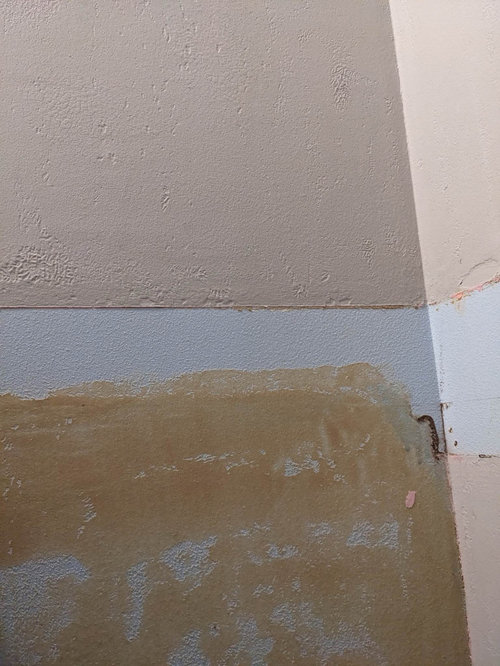 Walls are in bad shape - skim coat or sand it down?