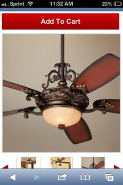 Help! Glam or romantic ceiling fans??? | Houzz Forum