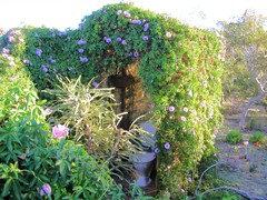 Show us your outdoor dunny! | Houzz AU