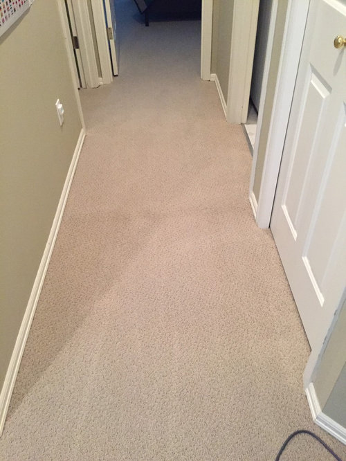 New Carpet