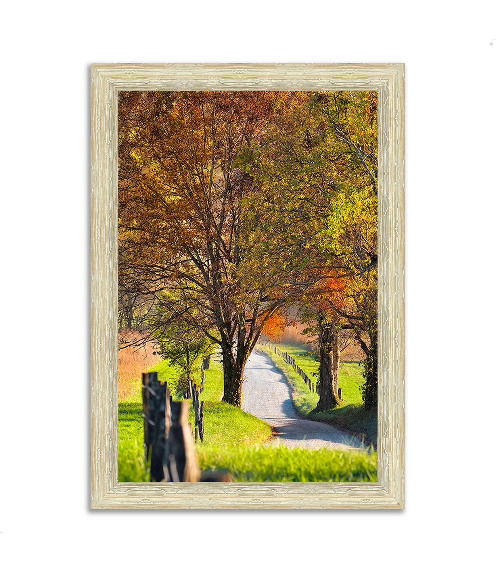 "Country Road I", Framed Photograph Print, Ready To Hang - Contemporary ...
