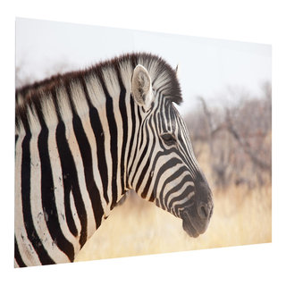 "Beautiful Zebra in Forest", 28W x 12H - Contemporary - Metal Wall Art ...
