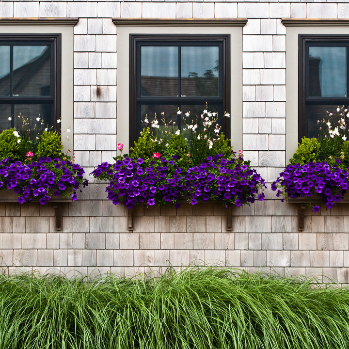 75 Traditional Home Design | Houzz Ideas You'll Love - April, 2026 | Houzz