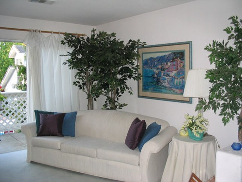 paint color for a small condo | Houzz Forum