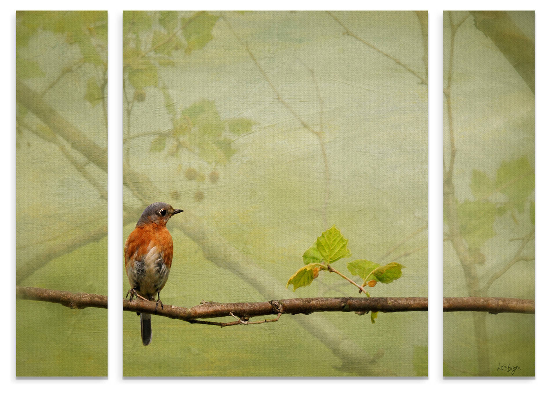 Lois Bryan 'Bluebird in Spring' Multi Panel Art Set, Small 24"x32 ...