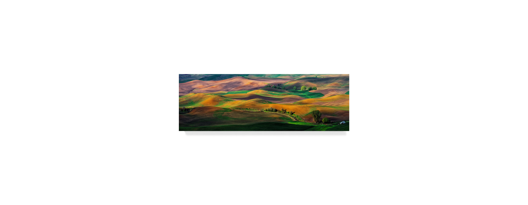 Hua Zhu 'The Palouse' Canvas Art, 47"x16" - Contemporary - Prints And ...