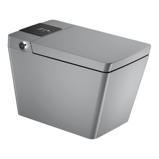 Smart Bidet Toilet with Siphon Jet Flush, Remote Control/ Side Control ...