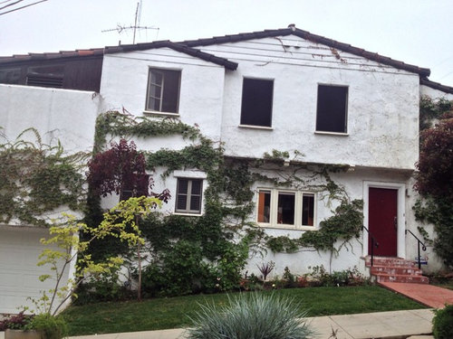 HEEEELP!! Ideas for Asymmetrical Roofline and Facade?