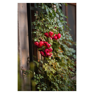 Magnolia- Work life balance - Traditional - Seattle - by Kim Rooney ...