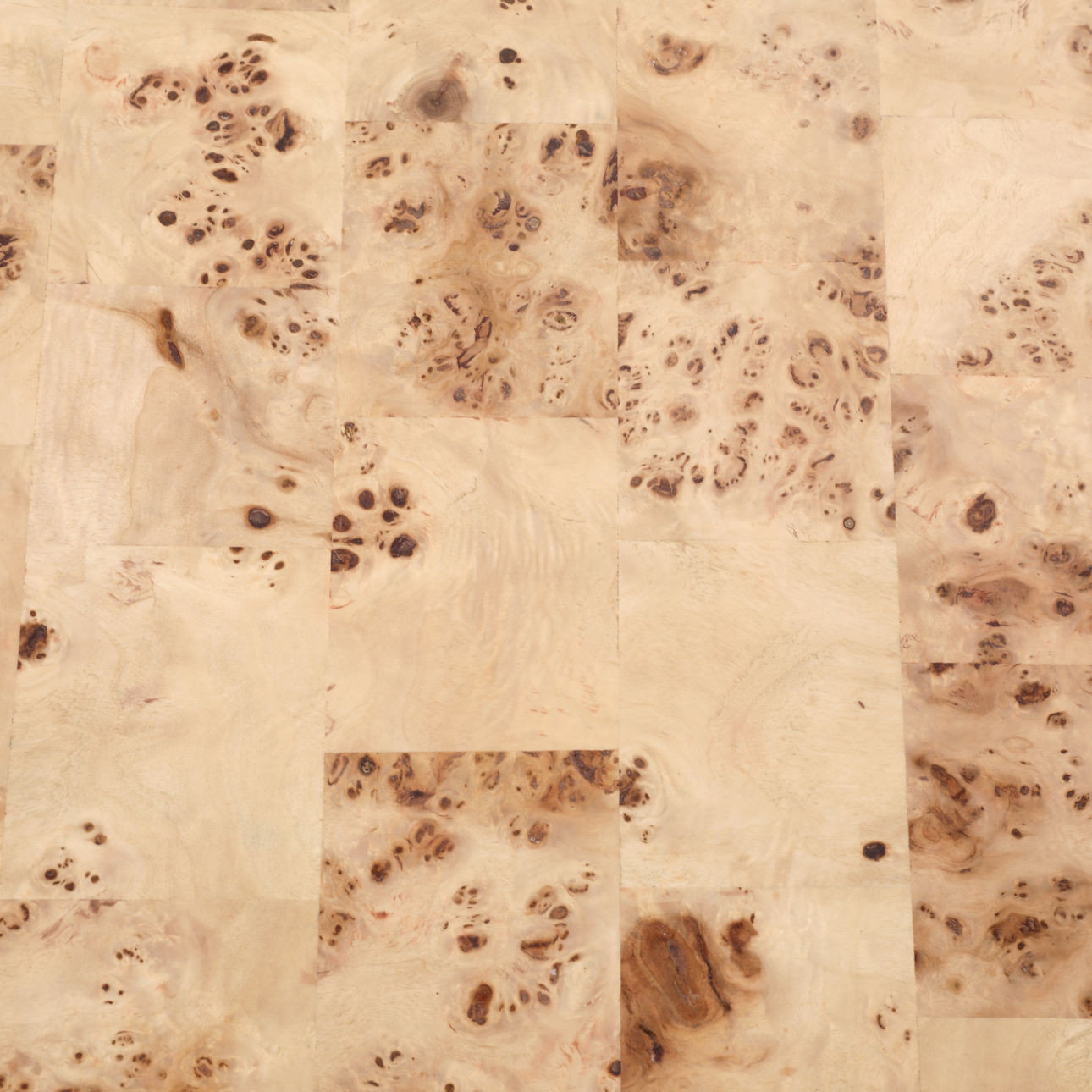 Burl Wood Mod Coffee Table - Rustic - Coffee Tables - by Design Mix ...