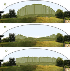 Planting a 100' treeline privacy fence