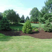 Privacy Landscape Berm - Traditional - Landscape - Chicago - by Apple ...