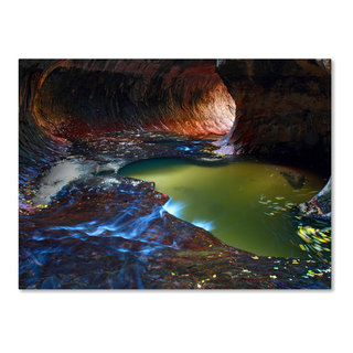 'Zion Subway' Canvas Art by Pierre Leclerc, 30" x 47" - Transitional ...