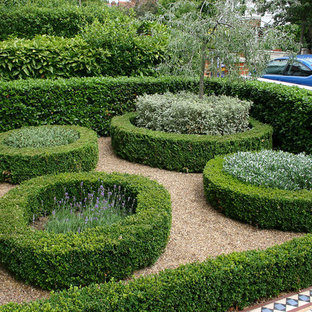 Round Boxwoods | Houzz