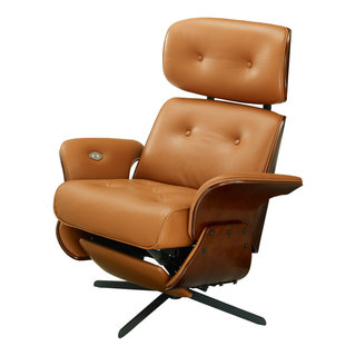 Houzz recliners store