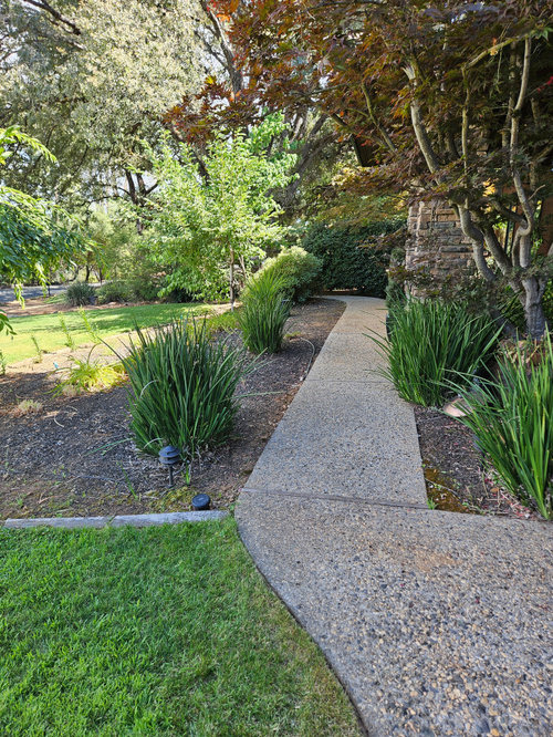 Reconfigure sidewalk/landscape to Draw visitors to actual front door ...