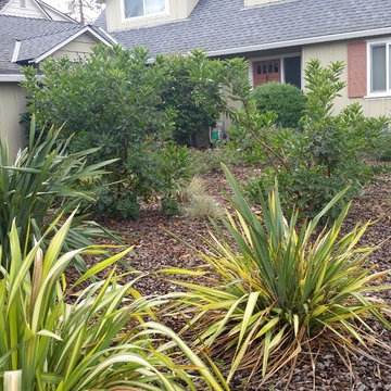 Street Corner Landscape - Photos & Ideas | Houzz