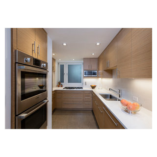 Manhattan, NY - Contemporary - Kitchen - New York - by SRA Design ...
