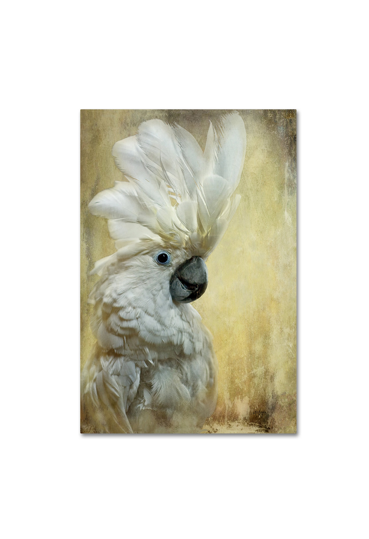 'Cocktoo' Canvas Art by Lois Bryan, 16" x 24" - Traditional - Prints ...
