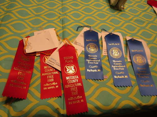 County Fair entries and ribbons