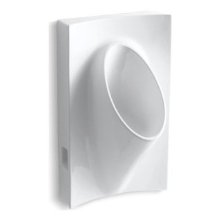 Kohler Steward L Waterless Urinal - Contemporary - Urinals - by The ...