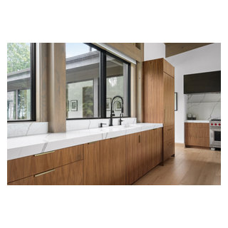 Contemporary Glass House - Kitchen - Grand Rapids - by Insignia Homes ...