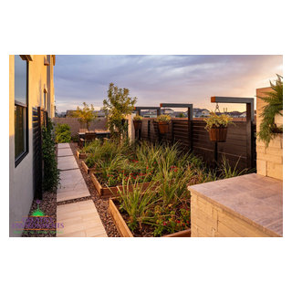 Flora at Morrison Ranch - Modern - Landscape - Phoenix - by Creative ...