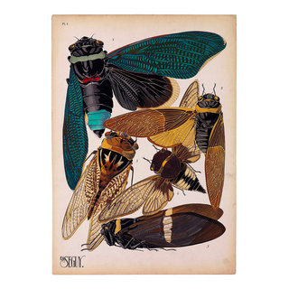 Insects, Plate 1 by E.A. Seguy Print, 16" x 20" - Contemporary - Prints ...