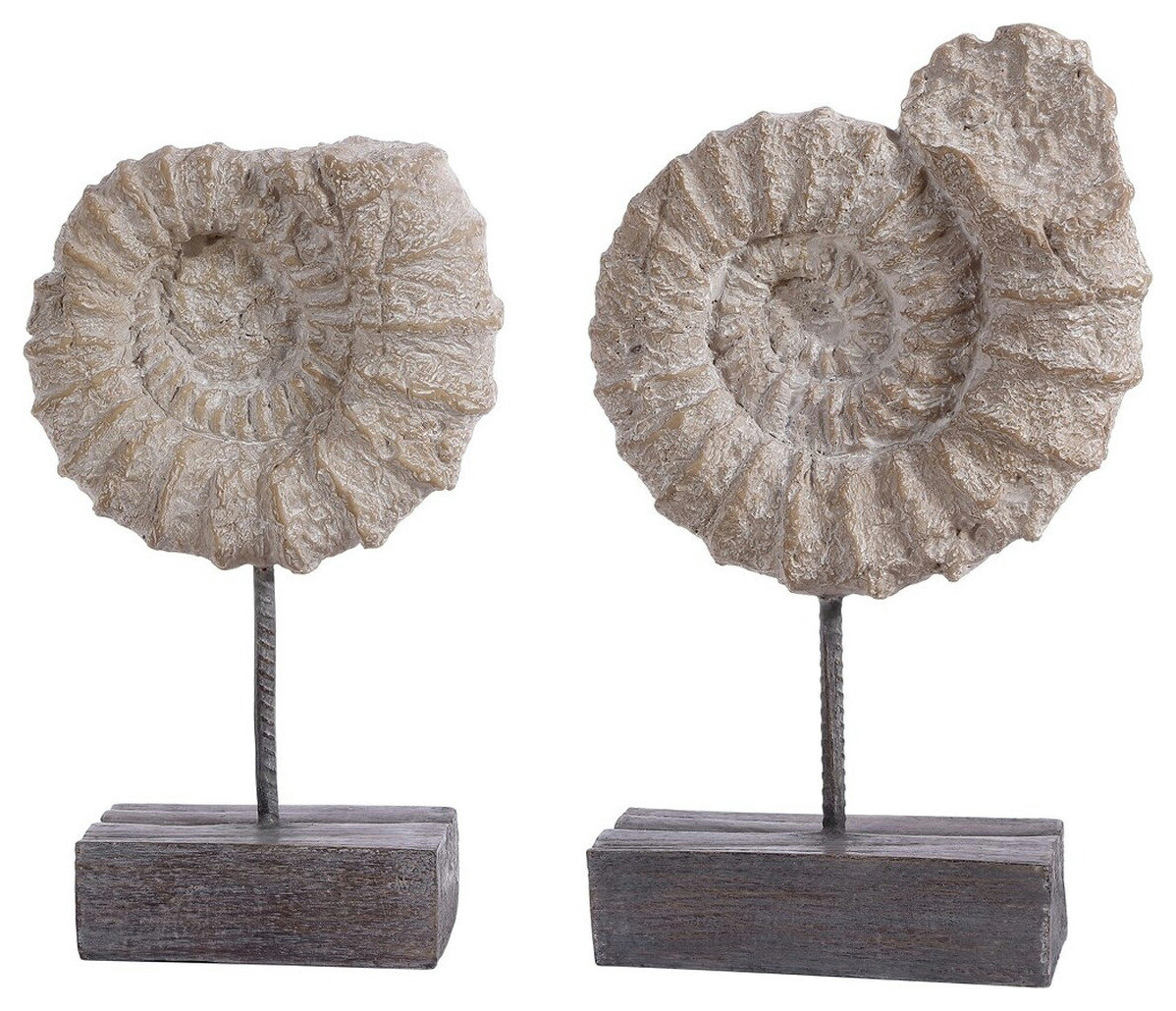 Safavieh Toren Set of 2 Ammonite Shell Table Decor Black/White, #N/A ...